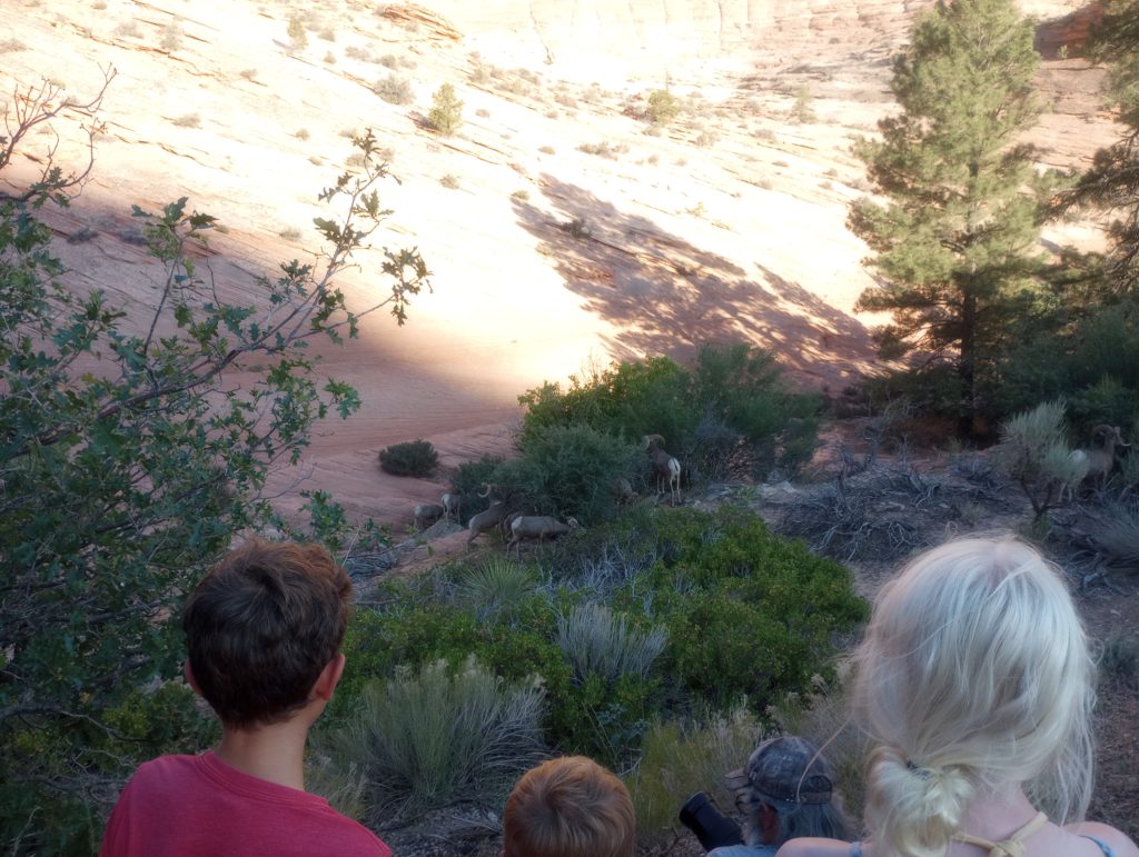 Summertime Sadness Road Trip – Summer 2023 – John P Anderson